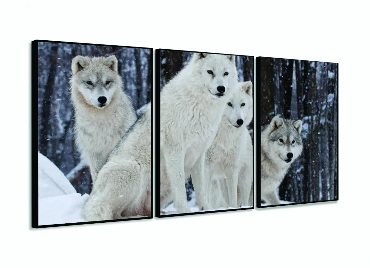 Loja Wall Frame - Quadros Decorativos para todos os Ambientes! - Quadro ...