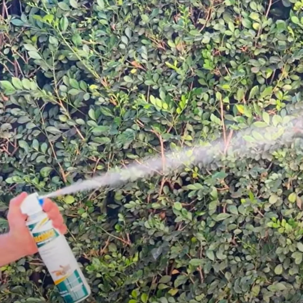 Loja Aimirim Plantas e Jardim - Alcance Mata Insetos Vespas E ...