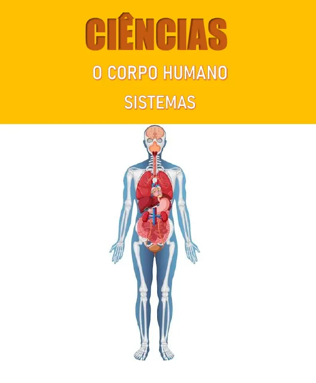www.saberresumos.com.br - 298 - Ciências - O Corpo Humano - Sistemas ...
