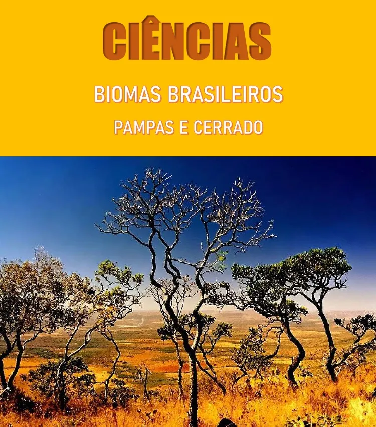 www.saberresumos.com.br - 295 - Ciências - Biomas Brasileiros - Pampas ...