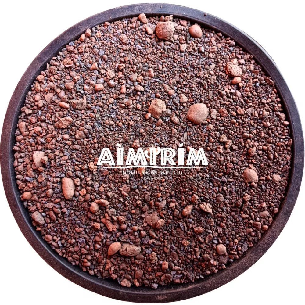 Loja Aimirim Plantas e Jardim - Argila Expandida Fina Mista Cobertura ...